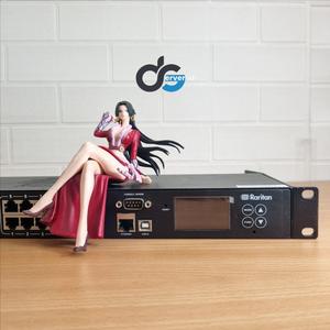 Jual Raritan EMX2-888 - Smart Rack Environment Controller - Kab. Bogor ...