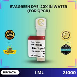 Jual EvaGreen Plus Dye, 20X in Water, for qPCR - 1 ml - Kab. Bogor ...