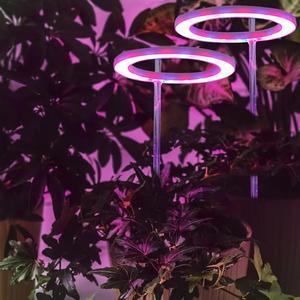 Jual Ring Led Plant Grow Light Plant Growth Lamp Indoor Potted Plants ...