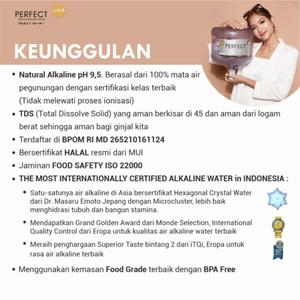 Jual Air Mineral Water Perfect Alkaline Ph 9.5 Baby Galon 10 Liter ...