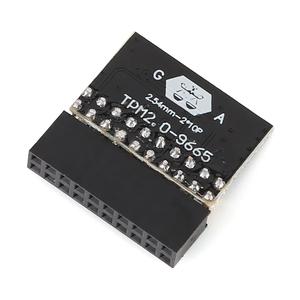Jual Tpm 2.0 20 Pin Module Motherboard Replacement Part Encryption Sec ...