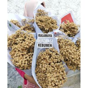 Jual LKL Camelia Hiasan Buket Bunga Kering Dekorasi Rustic Mahar Craft ...