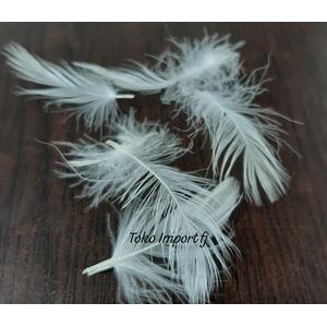Jual BULU ANGSA DOWN FEATHER ORIGINAL ISI BANTAL HOTEL GULING PREMIUM ...