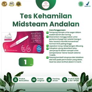 Jual Test pack Andalan Pregnancy Test Midstream- Alat Uji Kehamilan ...