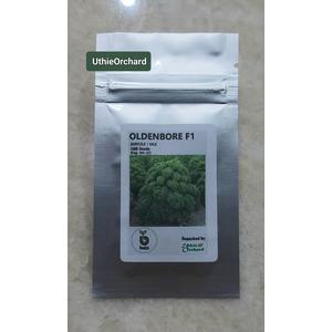 Jual Benih Bejo Seed - Kale Curly Oldenbor F1 Kemasan 100 Seeds - Kota ...
