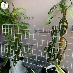 Jual Ram Besi Putih Pot Bunga Gantung Gantungan Pot Argo - Ram Besi 45 ...