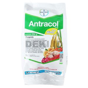 Jual (obat insektisida tanaman) antracol 70 wp 250 gr fungisida kontak ...