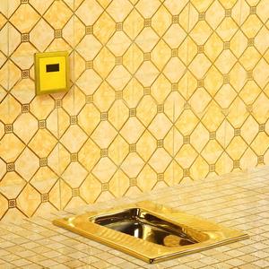 Jual Ceramic Water Tank Complete Set Golden Squatting Toilet Goldpl ...