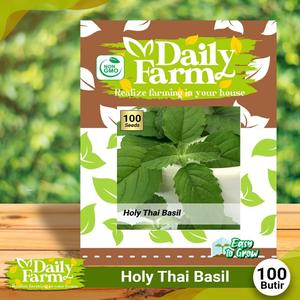 Jual Benih Basil Holy Thai - Bibit Bunga Tanaman Basil Thailan - Daily ...