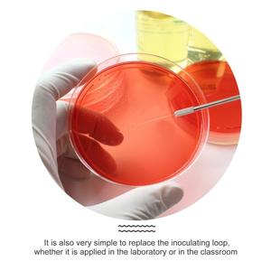 Jual Loop Inokulasi Inokulasi Alat Mikrobiologi Kawat Laboratorium ...