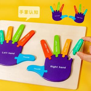 Jual New Montessori Finger And Palm Learning Shape Block Color Digital ...