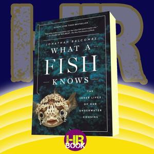 Jual What a Fish Knows The Inner Lives of Our Underwater Cousins ...