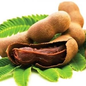 Jual DAUN ASAM JAWA ASLI - Kab. Pangandaran - L.ID | Tokopedia