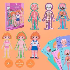 Jual 🤩 MONTESSORI TOY 🤩 MAGNETIC HUMAN BODY STRUCTURE PUZZLE Montessori ...
