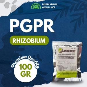 Jual Pupuk Pembenah Tanah PGPR Padat Sachet Rhizobacter - Kota ...
