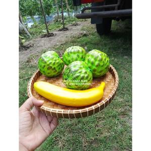 Jual Tampah bambu, Tumbu bambu, nampan, anyaman bambu, sokase, besek ...