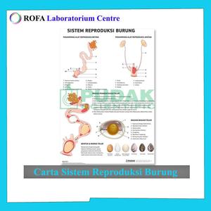 Jual Carta Sistem Reproduksi Burung/ Carta Biologi / Carta IPA - Kota ...