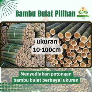 Jual Potongan Bambu Bulat Batang Super Berbagai Ukuran Panjang 10cm ...