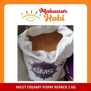 Jual Milet Creamy 1kg Biji Millet Putih Kuning Cream Pakan Makanan ...