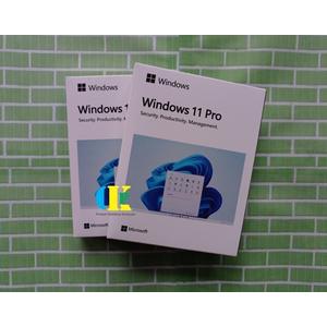 Jual Windows 11 Pro USB FPP Retail Fullbox Original Bisa Pindah PC ...