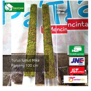 Jual Turus Mika Lumut Tiang Penyangga Tanaman - Turus Tanaman Rambat ...