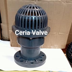 Jual Foot Valve PVC 3'' Inchi JIS 10K Model Flange - Jakarta Barat ...