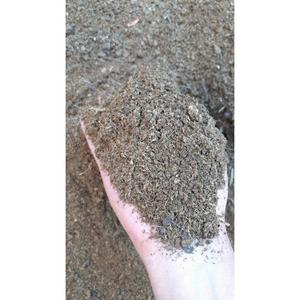 Jual pupuk kohe kambing halus fermentasi 1 karung siap pakai pgrqmm ...