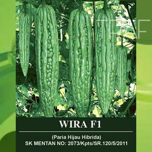 Jual benih paria hibrida wira f1 isi 10 gram (sekitar 50-60 b ygwmnb ...