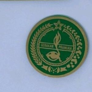 Jual Topi Pramuka Siaga Plus Pin Tanda Tingkatan Putra Putri Anak ...