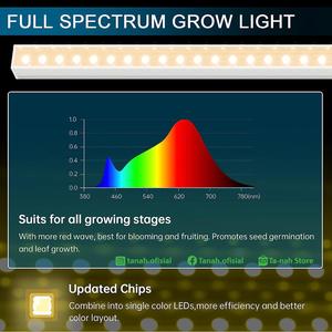 Jual Grow Light Full Spectrum Batten Led Barrina T5 60Cm 10W 120° 2900K ...