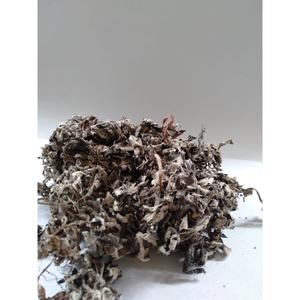 Jual Daun Baru Cina Kering / Daun Manis / Daun Sudamala 1kg - Kota ...