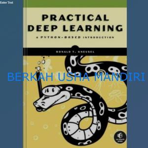 Jual Practical Deep Learning A Python-Based Introduction - Jakarta ...