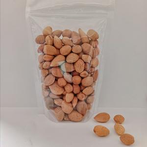 Jual Buah Biji Ketapang Premium Asli 250 gr / biji ketapang / Catappa ...