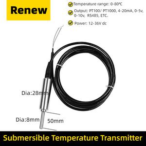 Jual Immersion Thermometer IP68 Submersible Temperature Transmitter ...