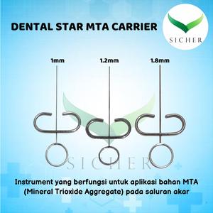 Jual Dental MTA Carrier - Star - 1,8mm - Kota Surabaya - Schnell dental ...
