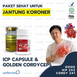 Jual (PAKET SEHAT) JANTUNG KORONER - ICP CAPSULE + CORDYCEPS - Kota ...