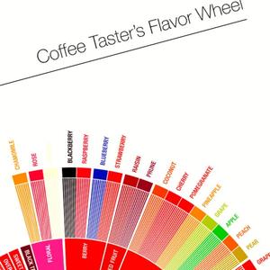 Jual TERMURAH RODA RASA KOPI POSTER SCAA FLAVOUR WHEEL BINGKAI PREMIUM ...