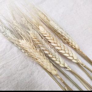 Jual Topper Bunga Gandum, Hiasan Kue Bunga Gandum, Artifak Craft ...