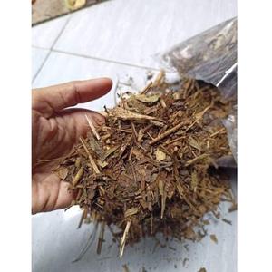 Jual humus daun bambu karungan murah - media tanam daun bambu cifexs ...