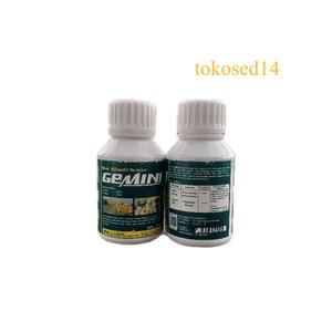 Jual VIRUS GEMINI 100 ml pengendali hama daun bulai dan virus faktor iklim - Kab. Bojonegoro ...