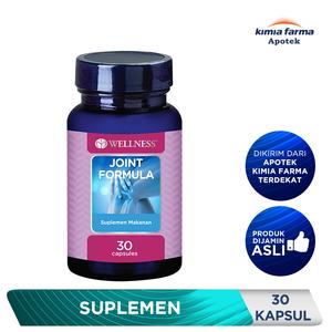 Jual WELLNESS JOINT FORMULA 30 KAPSUL / SUPLEMEN KESEHATAN TULANG ...