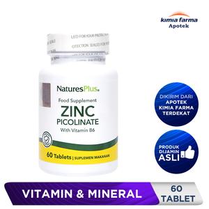 Jual NATURES PLUS ZINC PICOLINATE WITH VITAMIN B6 60 TABLET ...