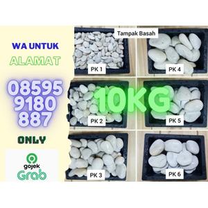 Jual Batu koral Kupang kecil Putih Karungan - 7-9cm XL - Kota Bekasi ...