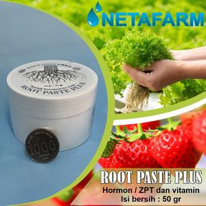 Jual Root Paste Plus ( Taiwan ) 50 gram Pupuk Hormon Pertumbuhan Akar ...