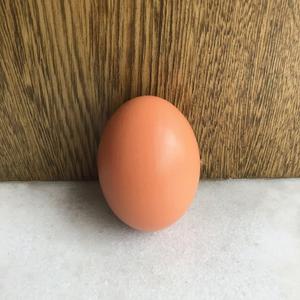 Jual Colorful Wooden Fake Egg DIY Easter Egg Kids Drawing Painting ...