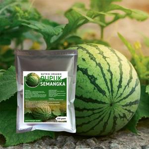 Jual pupuk pelebat buah SEMANGKA | booster nutrisi organik 250 gram - Jakarta Selatan - cemara ...