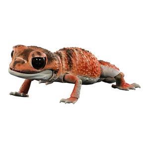 Jual Advanced Namehadatamagomori ikimono figure cicak tokek knob tail ...