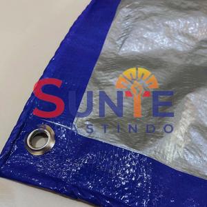 Jual TERPAL PLASTIK A3 CAP KUCING UKURAN 2M X 3M - BIRU/SILVER - Kota ...
