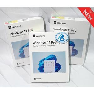Jual Windows 11 Professional Usb FPP Original Bisa Pindah PC Lifetime ...