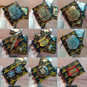 Jual ATRIBUT SATPAM/PIN SATPAM /LENCANA SATPAM/WING SATPAM/MONOGRAM ...